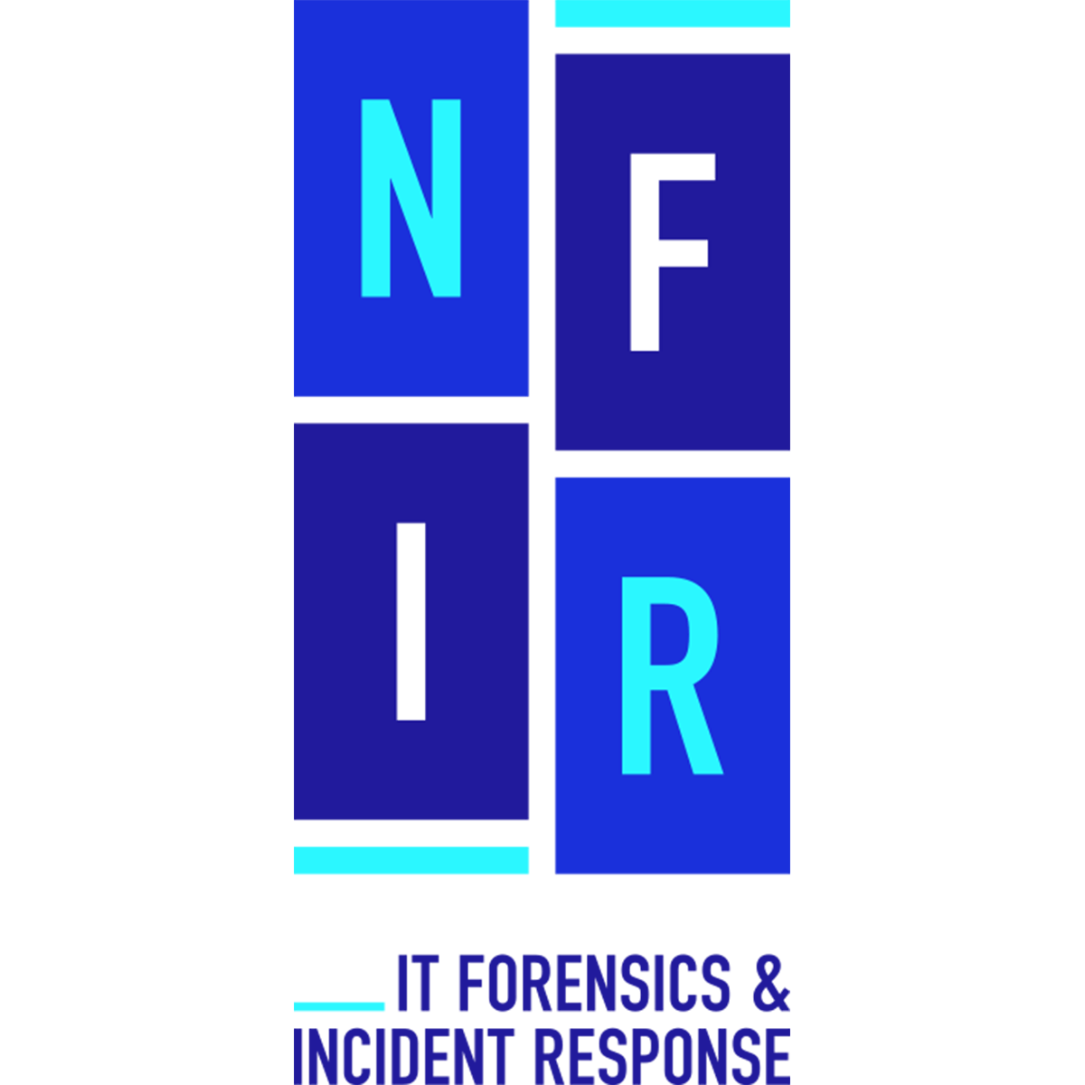 Zo gijzel je een netwerk, in twaalf stappen | Cyber Security Experts | NFIR